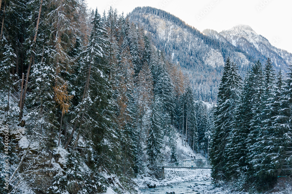 Scuol, Unterengadin, Inn, Fluss, Inntal, Bergstrasse, Bergtal, Wald ...