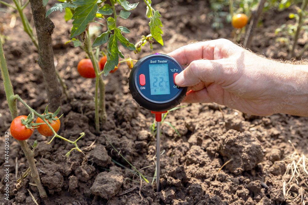 Soil test - measuring temperature, moisture content, environmental ...