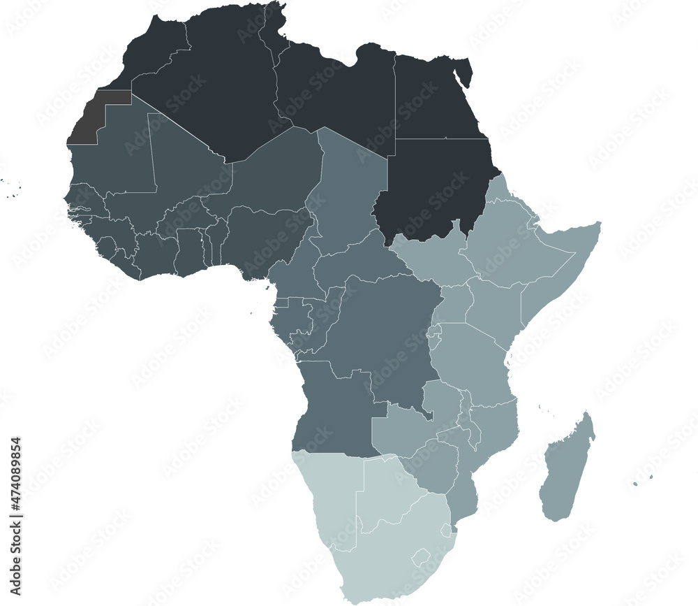 Gray Map of regions of Africa Stock Vector | Adobe Stock