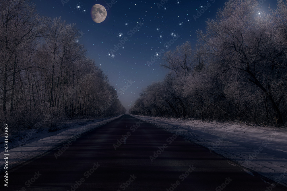 forest stars moon sky night snow road Stock Photo | Adobe Stock