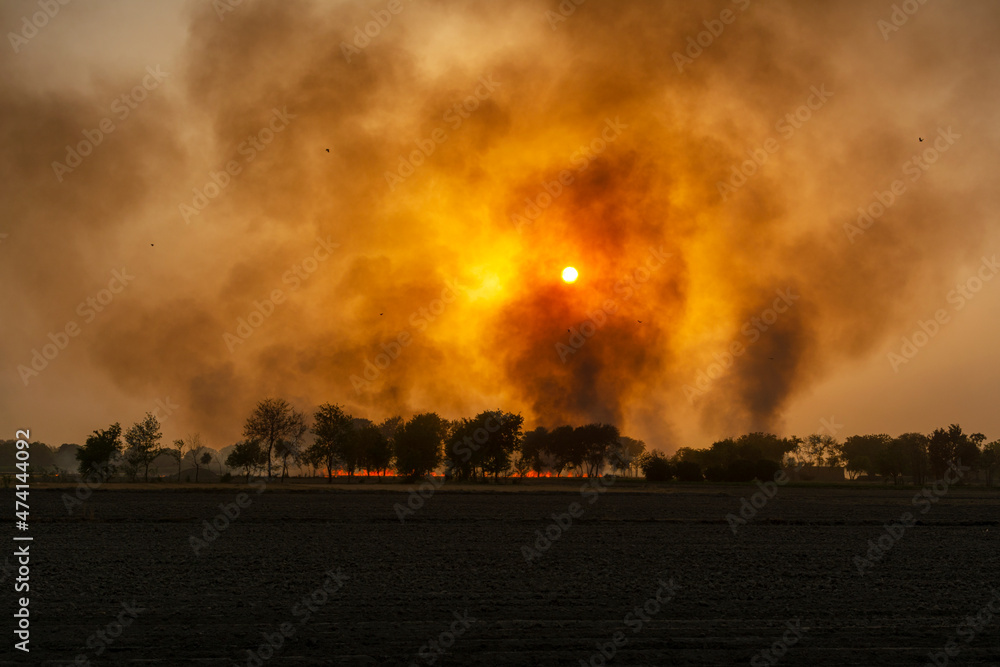 wheat fields on fire after harvesting in India and Pakistan is main ...