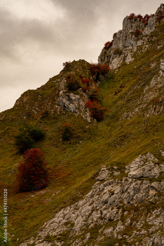 Valley of the River Duje in Tielve in the Picos de Europa. Stock-Foto ...