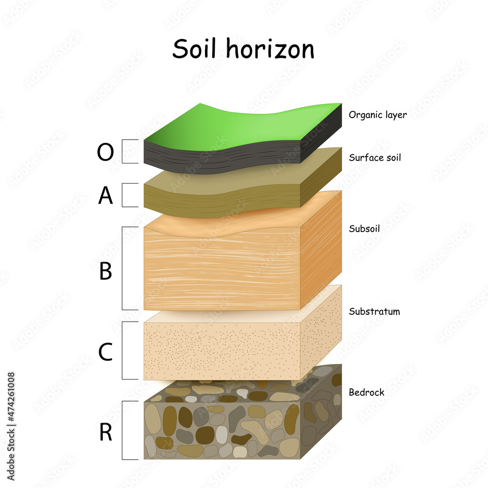 layers of the soil. A cross section of a soil Stock Vector | Adobe Stock