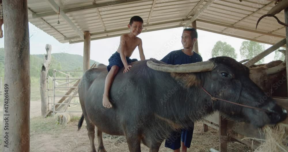 A father in traditional clothes and a son who sitting on a buffalo's ...