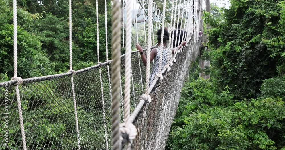 Kakum National Park Ghana rope bridge tree tops. National forest and ...