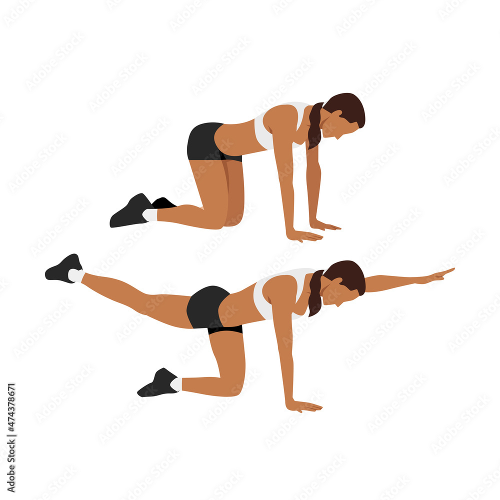 Woman doing bird dogs. alternating reach and kickbacks exercise flat ...