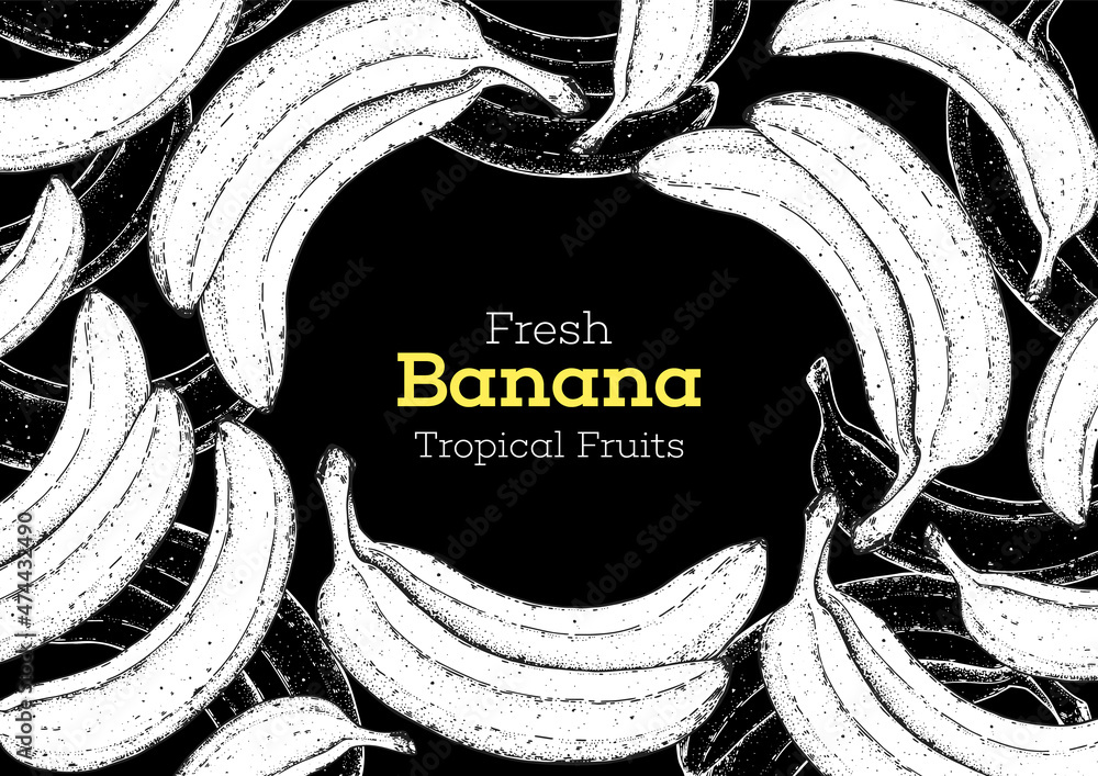 Banana fruit hand drawn frame. Sketch style. Vector illustration ...