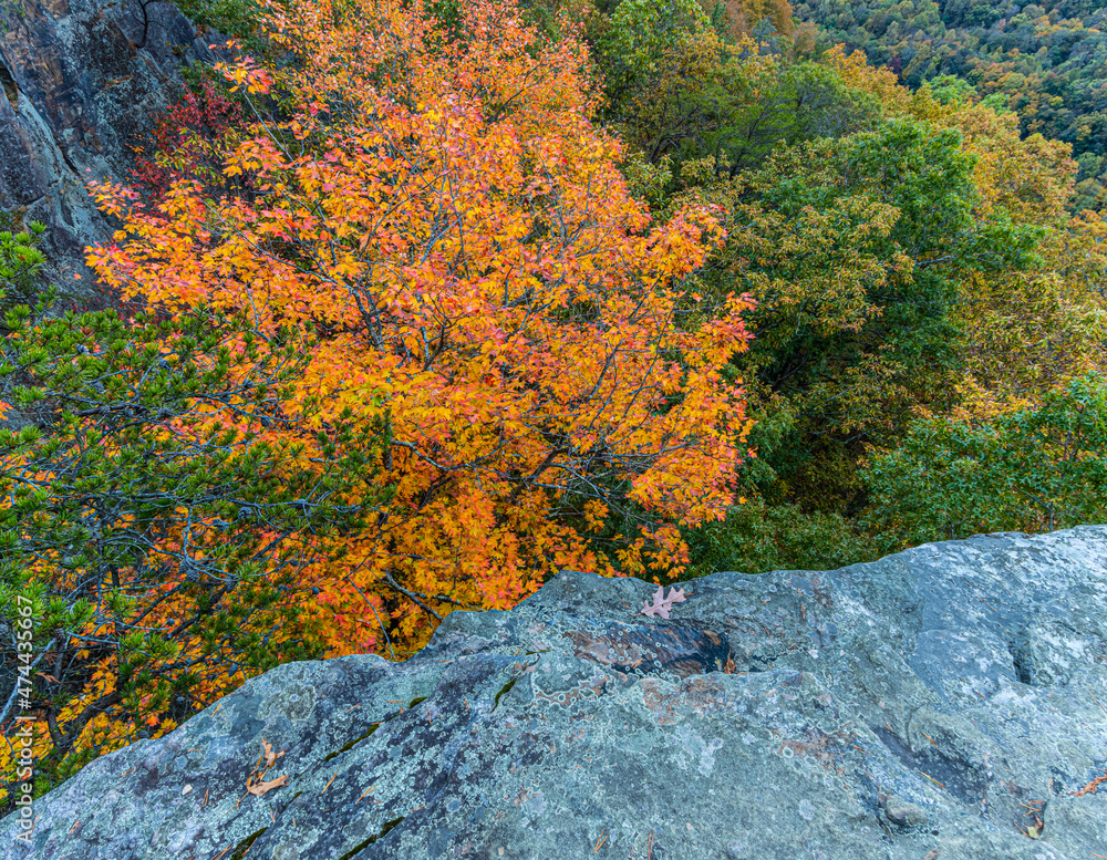 The Sandstone Cliffs of The Endless Wall Above The New River Gorge With ...