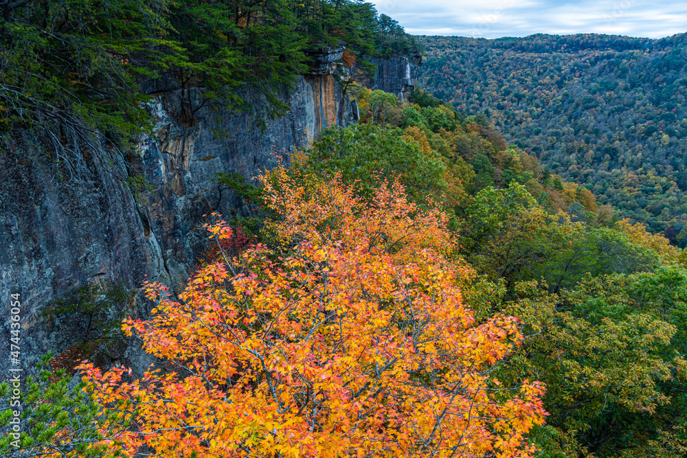 The Sandstone Cliffs of The Endless Wall Above The New River Gorge With ...