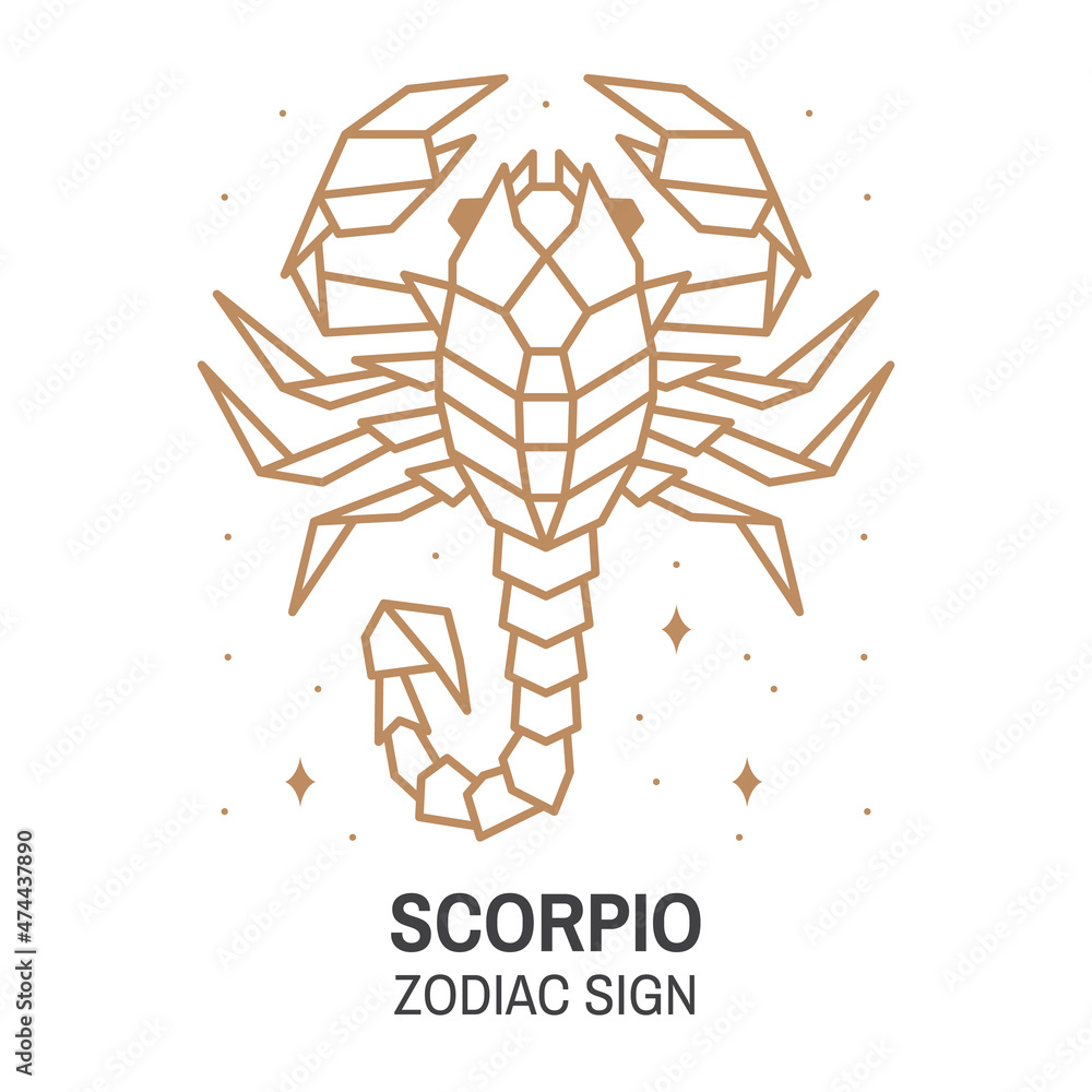 Zodiac astrology horoscope sign scorpio linear design. Vector ...