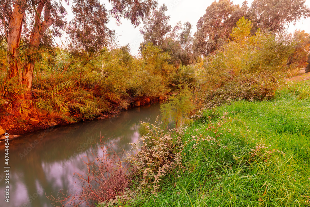 Sunset view of the Jordan River with eucalyptus trees Stock Photo ...