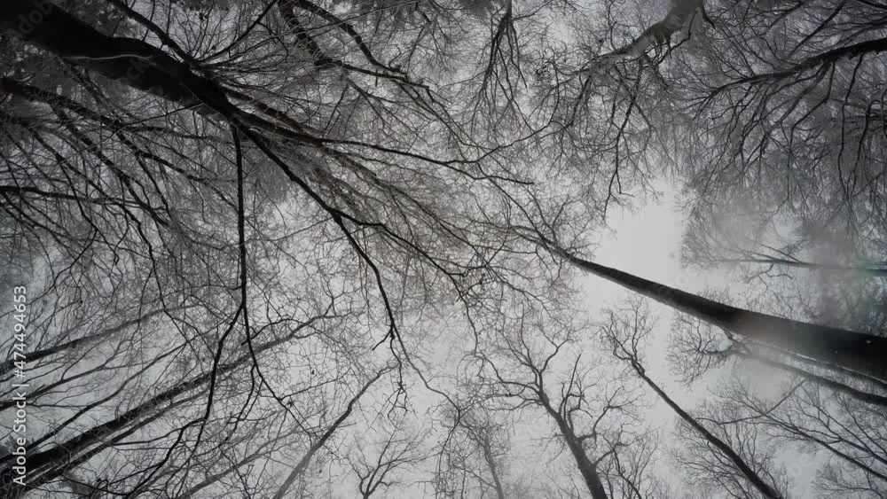 Static down top view of snowy forest and grey cold sky winter is the ...