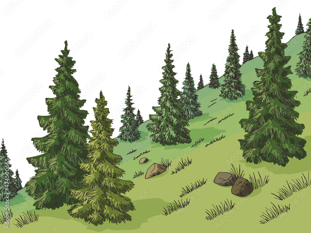 Mountain forest hill graphic color landscape sketch illustration vector ...