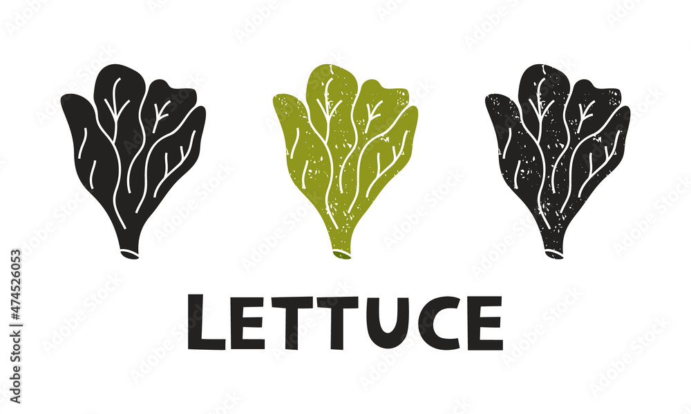 Lettuce, silhouette icons set with lettering. Imitation of stamp, print ...