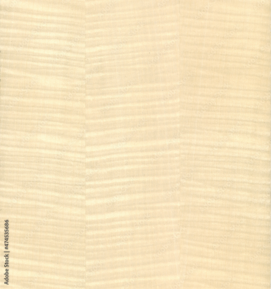 Bleahced rippled sycamore veneer texture seamless high resolution ...