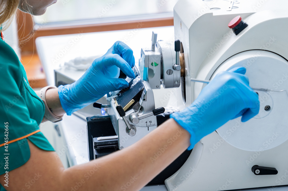 Laboratory assistant works on a rotary microtome section and making ...