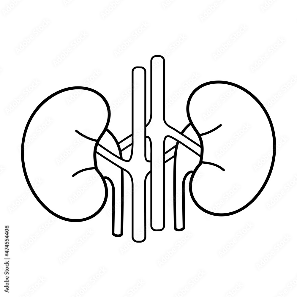 Kidneys Clipart Black And White