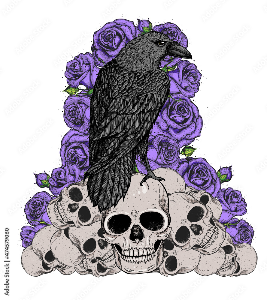 Black raven sits on the skulls. Skull, raven and roses hand drawn ...