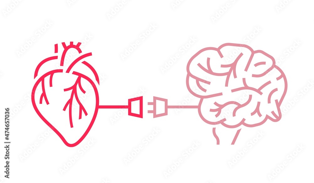 Heart-brain connection. Health of the heart and mind are intertwined ...