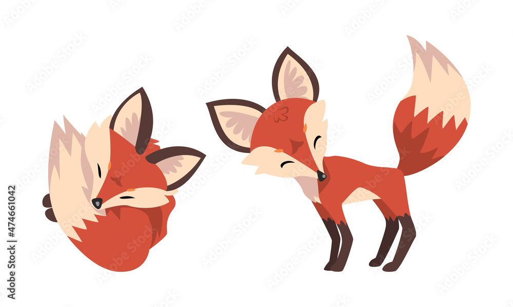 Cute Fox Character with Bushy Brush Tail and Triangular Ears Vector Set ...