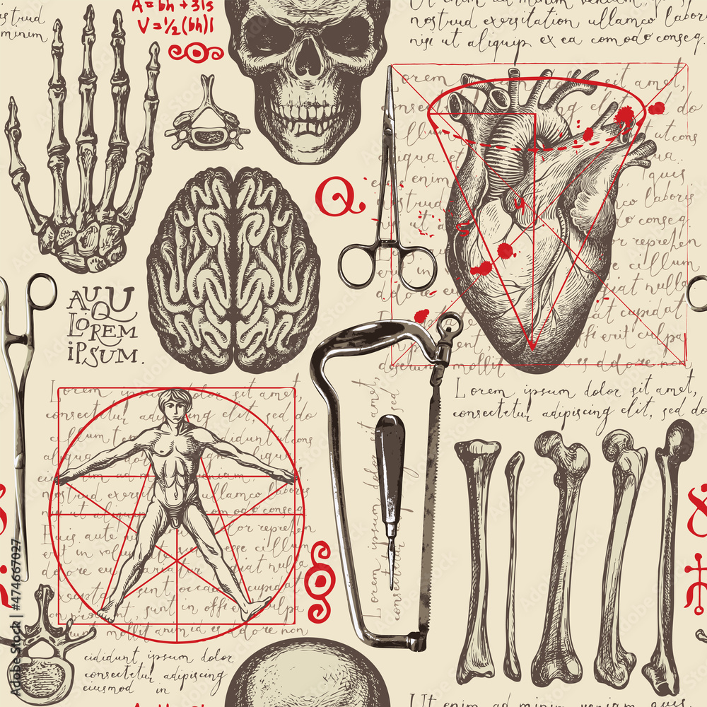 Anatomy seamless pattern with hand-drawn human skulls, bones, organs ...