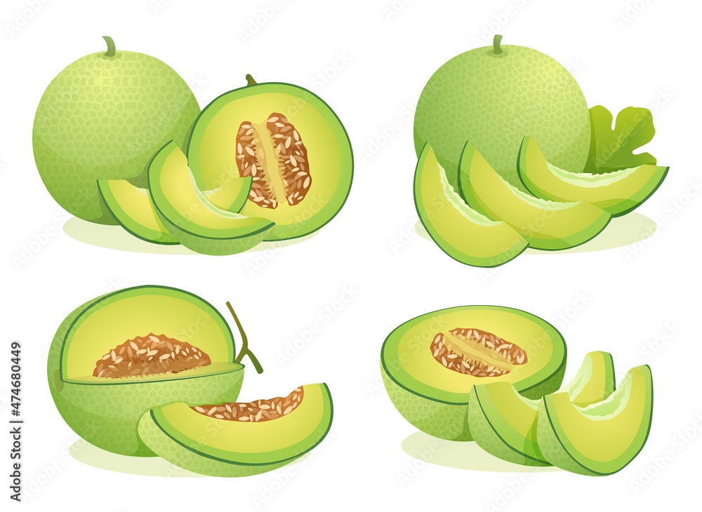 Poster Set of fresh melon fruits whole, half and cut slice illustration ...