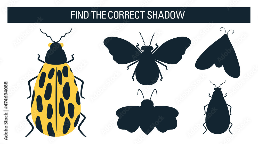 Insects, beetle. Find the right shadow, an educational game for kids ...