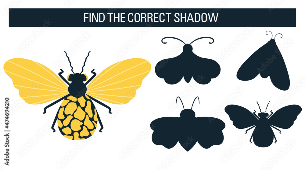 Insects, butterflies, moths. Find the right shadow, an educational game ...