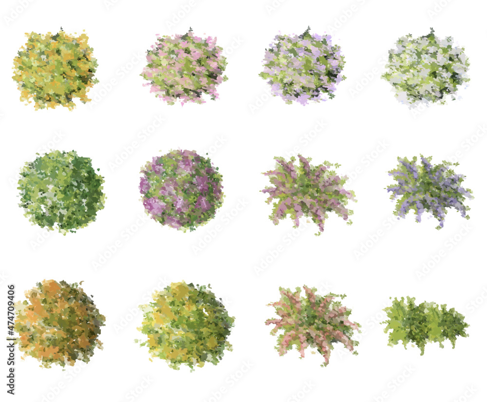 Vector of abstract watercolor tree top view isolated on white background for landscape plan and ...