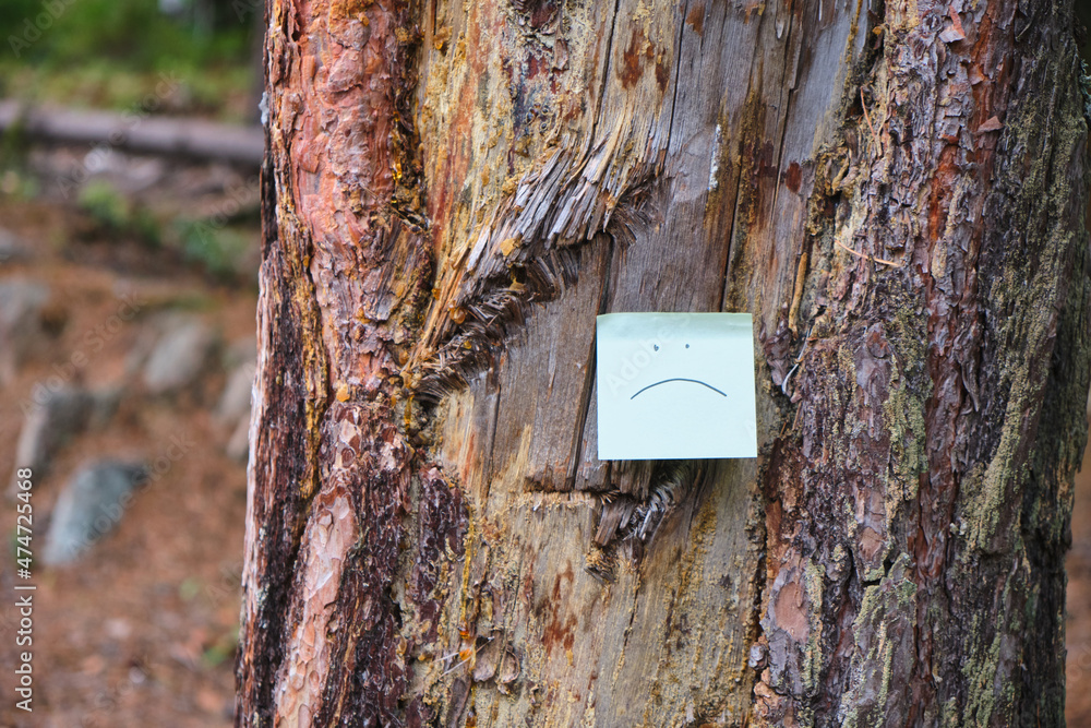 sad emoticon on a sticker glued to an old tree in the forest. get lost ...