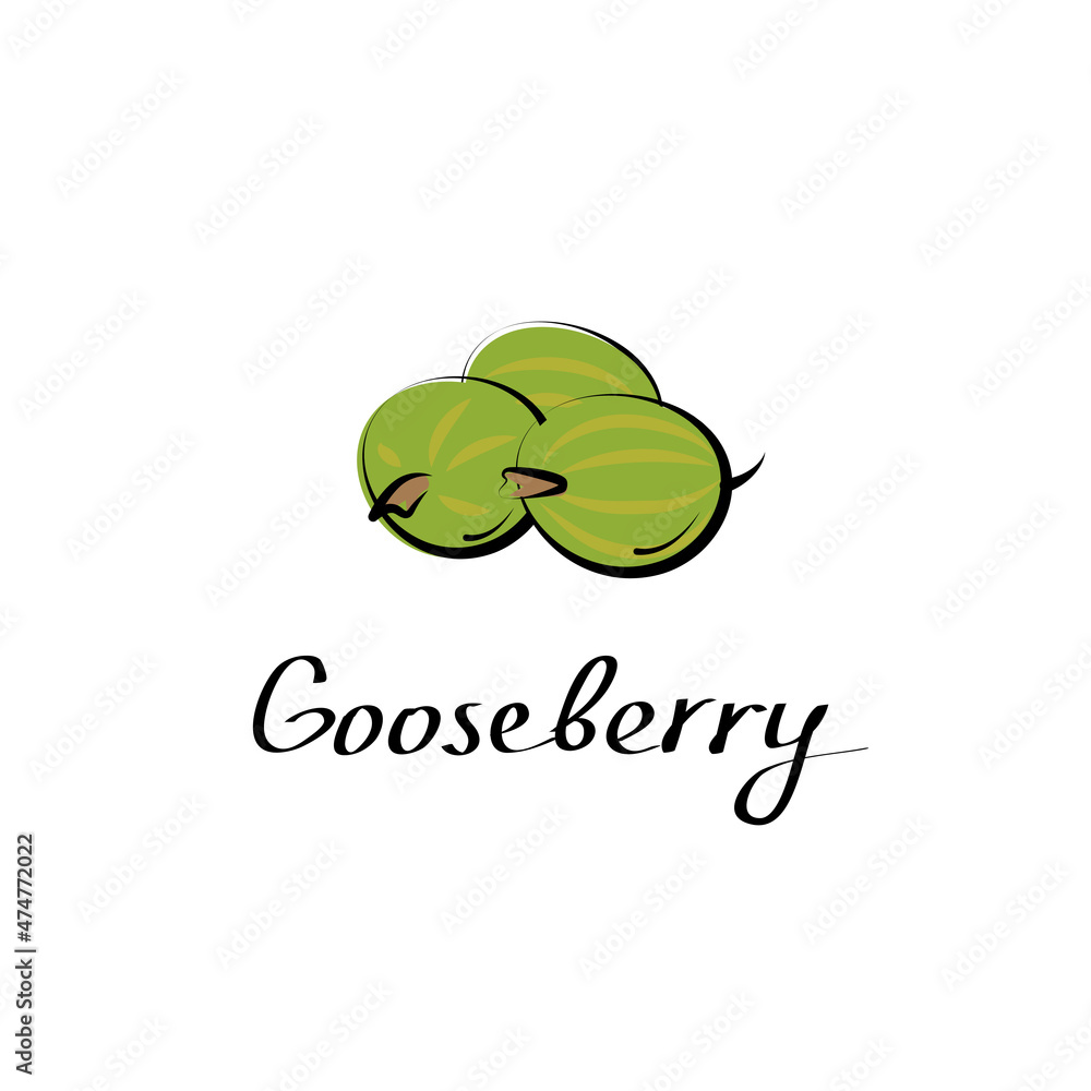 Gooseberry vector cartoon flat illustration. Indian gooseberry or amla ...