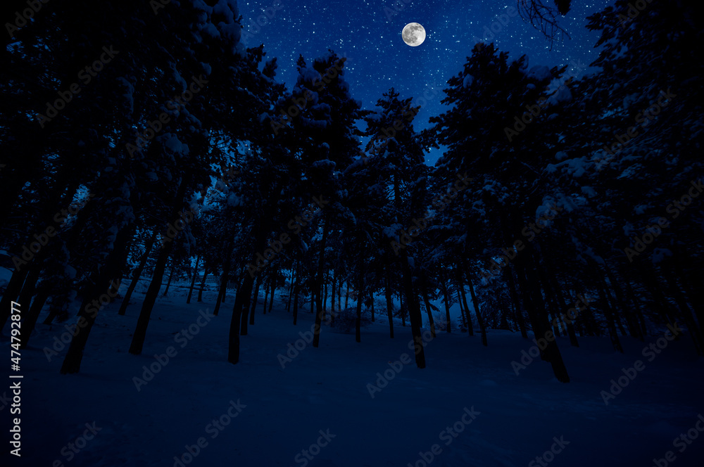 Mountain Road through the snowy forest on a full moon night. Scenic ...