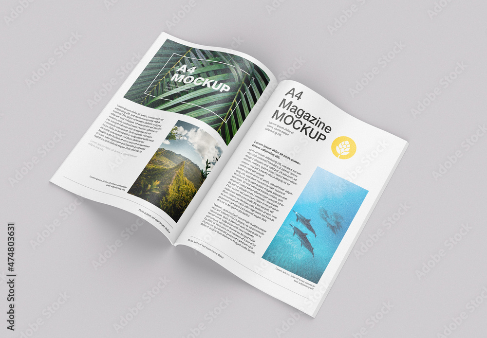 Matte Magazine Mockup Top View Stock Template | Adobe Stock