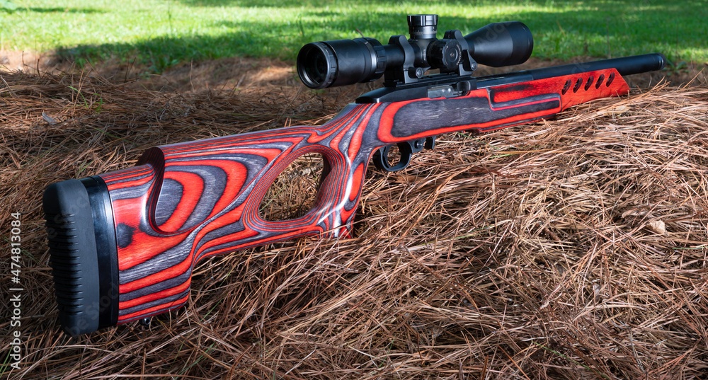 Semi automatic rimfire rifle on a forest edge Stock Photo | Adobe Stock