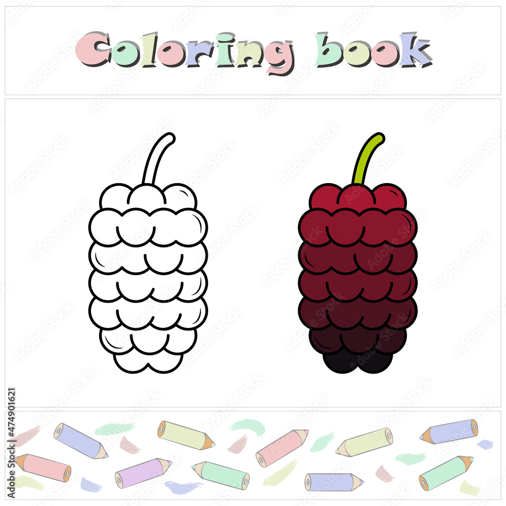 Mulberry. A page of a coloring book with a colorful fruit and a sketch ...