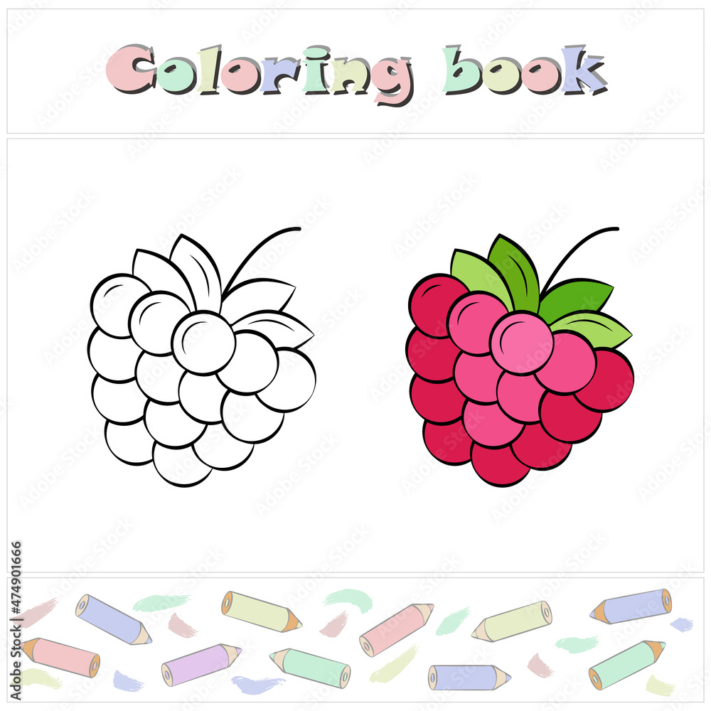 Cartoon raspberry. Coloring book. Simple education game for kids ...