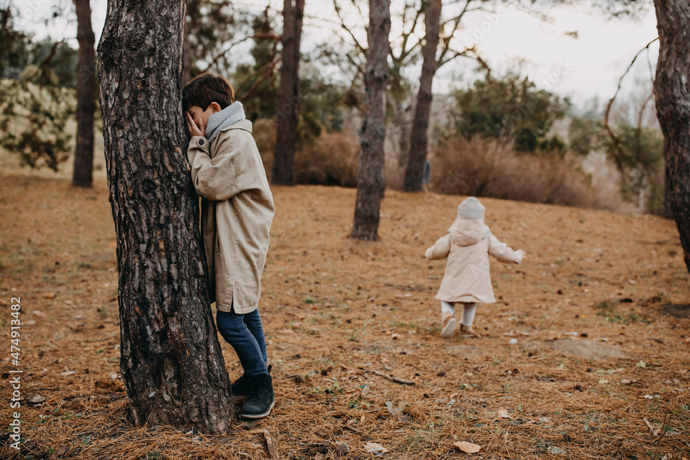 Child playing hide and seek, counting with closed eyes next to a tree ...