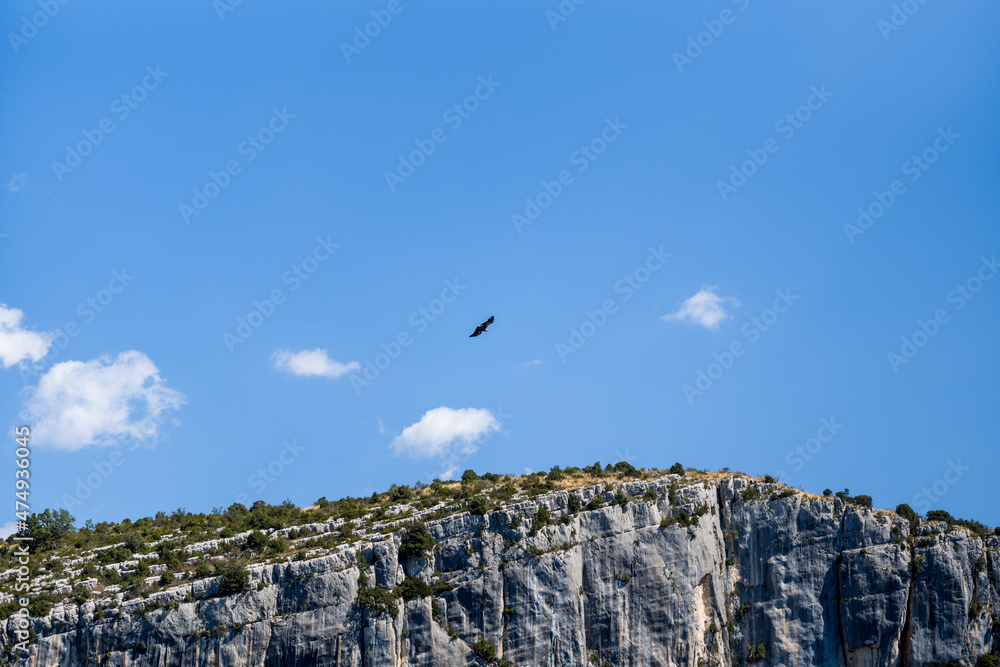 An eagle flies over the Gorges du Verdon in Europe, France, Provence ...