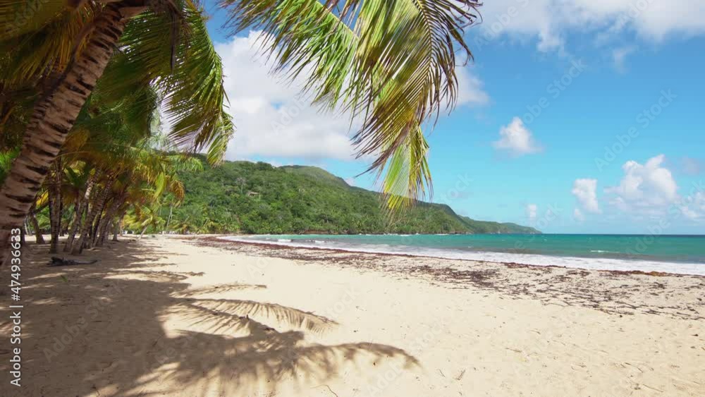 Palm trees along the entire golden coastline adorn the peninsula The ...