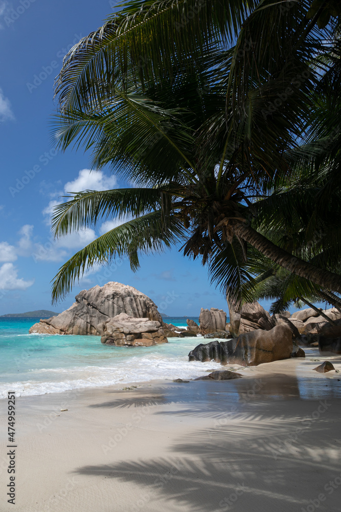 Typical Seychelles landscape. A palm tree hangs over a snow-white beach ...