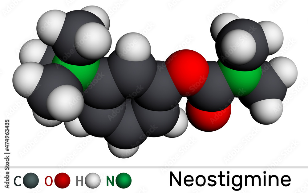 Neostigmine, molecule. It ischolinesterase inhibitor for the ...