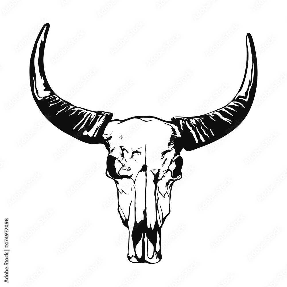 Buffalo skull - hand drawn vector illustration isolated on white ...