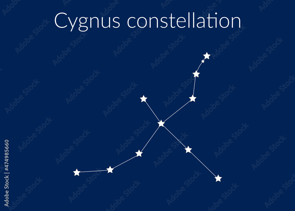 Cygnus zodiac constellation sign with stars on blue background of ...