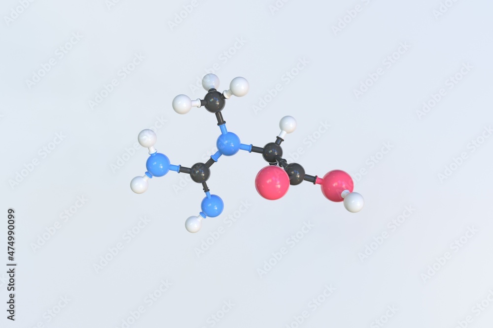Molecule of creatine, isolated molecular model. 3D rendering ...