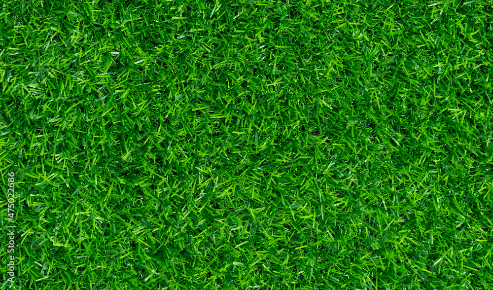 grass field background, green nature Stock Photo | Adobe Stock