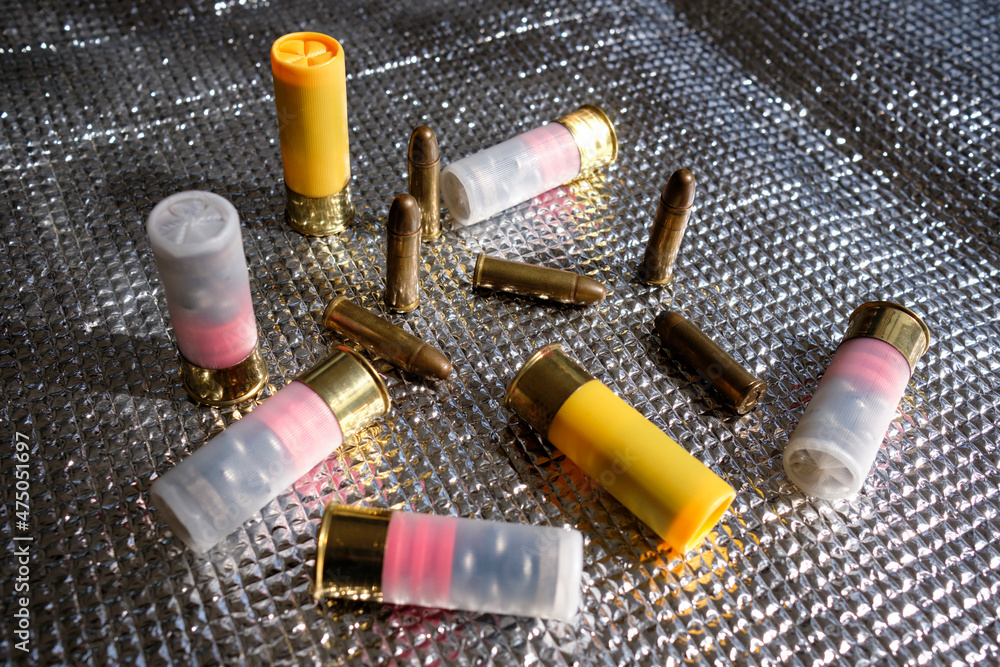 Different types of firearms.Old firearms for hunter. The difference of ...