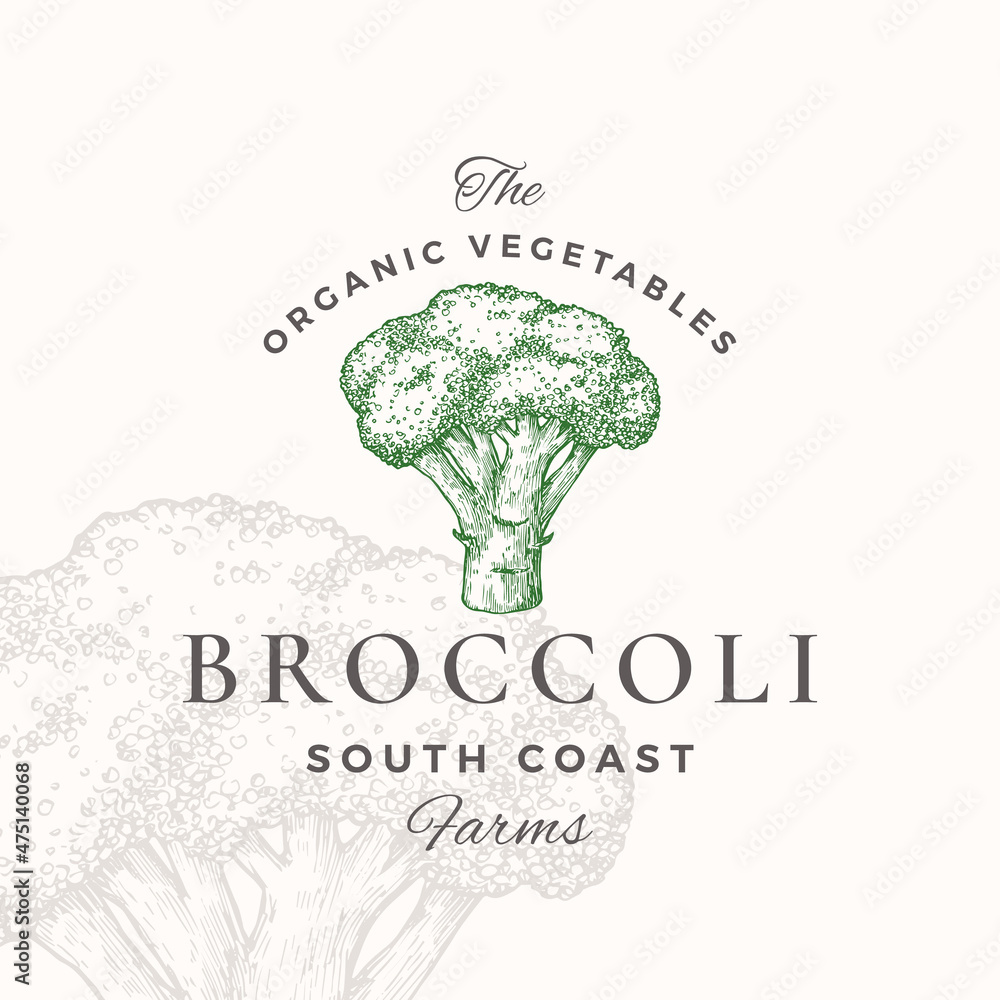 Broccoli Logo Template. Hand Drawn Vegetable Sketch with Retro ...