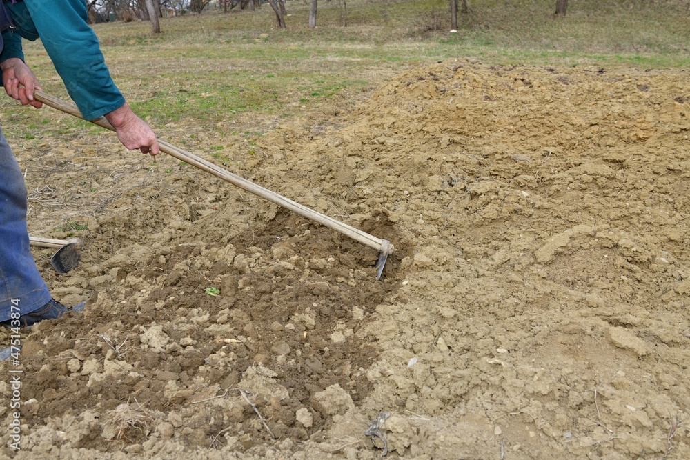 A farmer digs the soil with a hoe before planting seeds in the spring ...