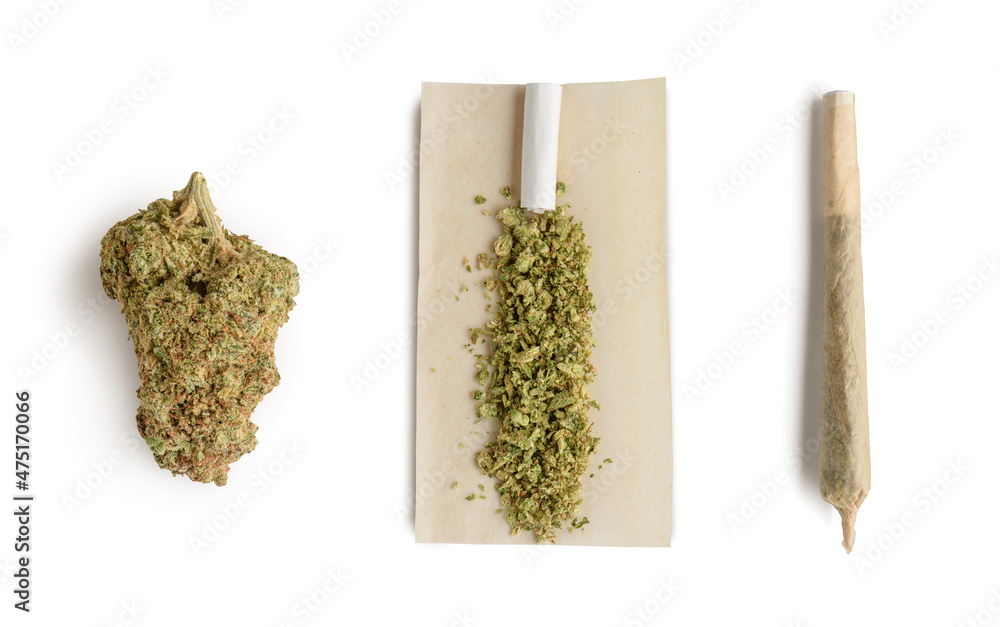 Marijuana bud ,crushed bud of marijuana on the rolling paper and ...