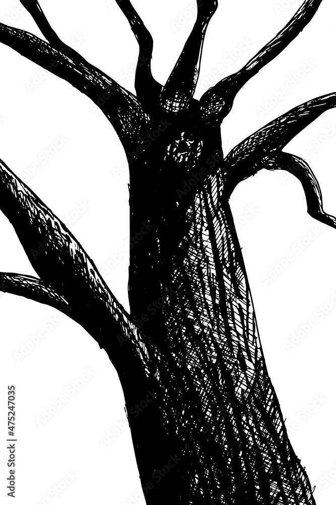 Sketch of an old large tree on a white background. hand drawing ...